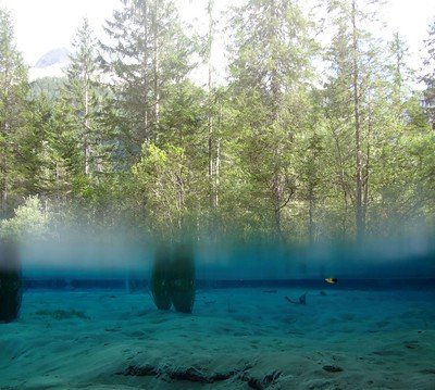 Prof. Elisa Fornalé hosts the Virtual Meeting of the International Law ...