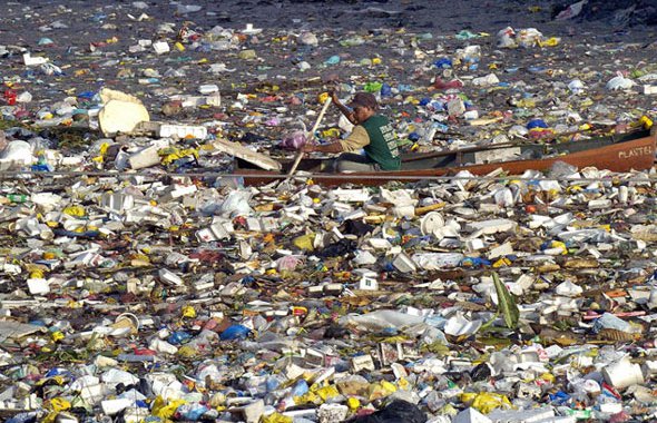 Harmful Effects Of Plastic Pollution