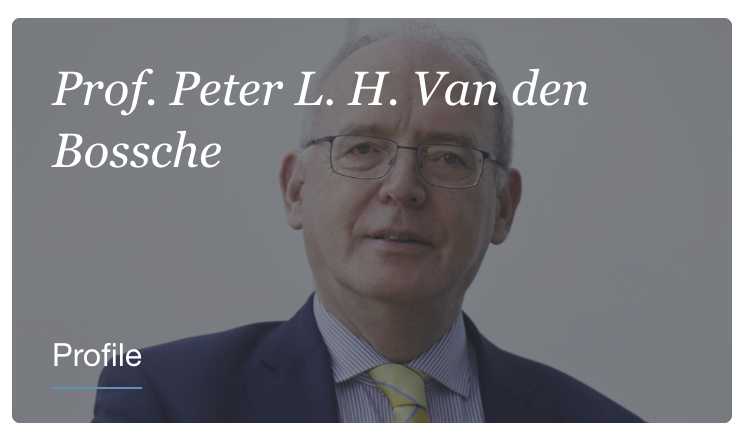 WTI Director of Studies guest lectures at the Université de Genève